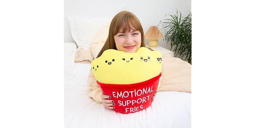 Emotional Support Mochi Fries