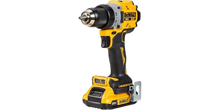 DEWALT DCD800D2 20V MAX XR Drill/Driver Kit