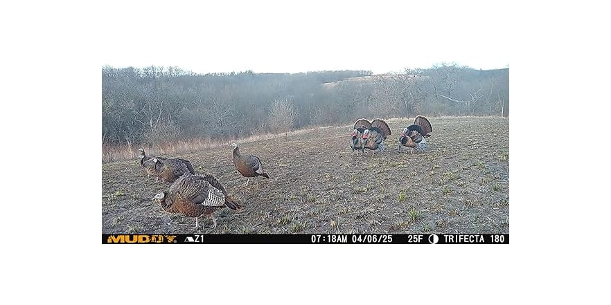 (NEW) Muddy Trifecta 180 Degree Cellular Trail Camera 36MP