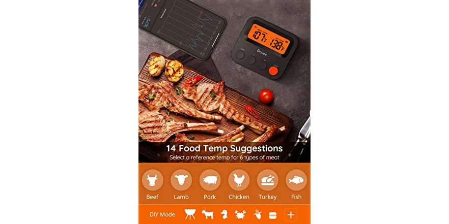 Govee Bluetooth Meat Thermometer