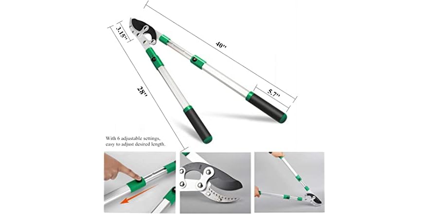 Telescoping Lopper, Tree Trimmer