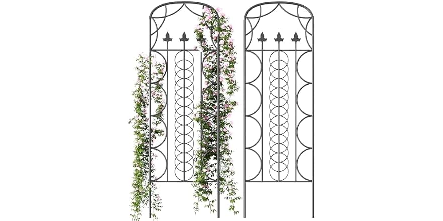 Idzo 71" Metal Garden Trellis Black