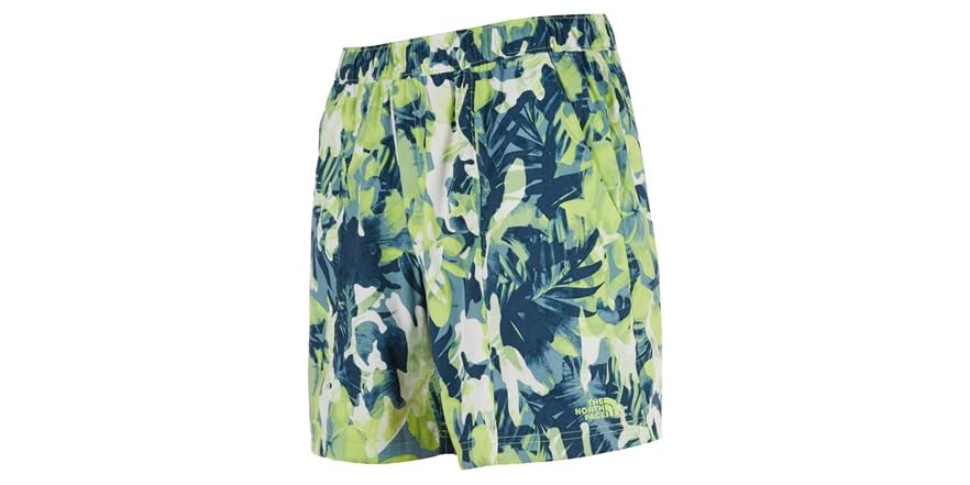 The North Face Men's Class V Shorts