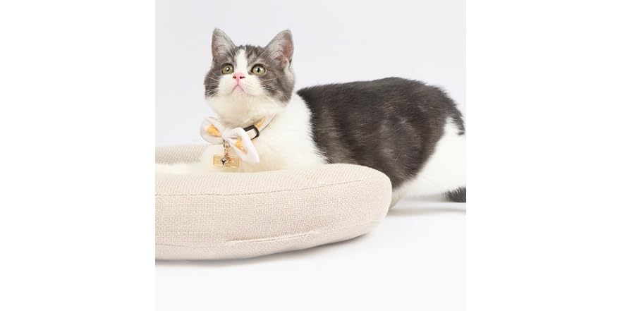 Pineapple Patterned Cat Collar with Bow