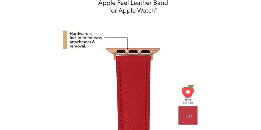 Anne Klein Band for Apple Watch