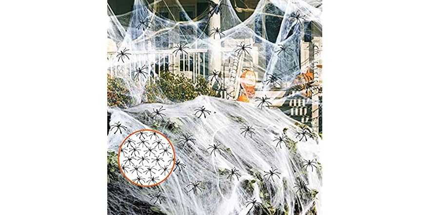 Stretch Spider Web with 25 Fake Spiders