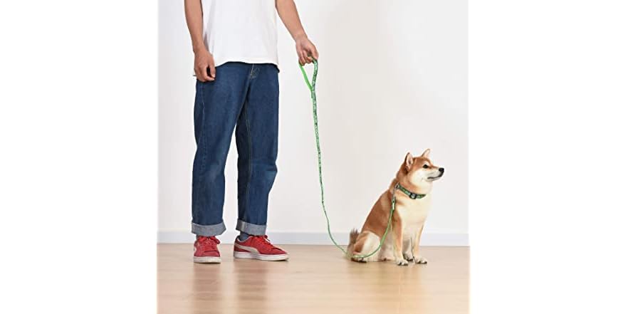 Marvel The Incredible Hulk Dog Leash