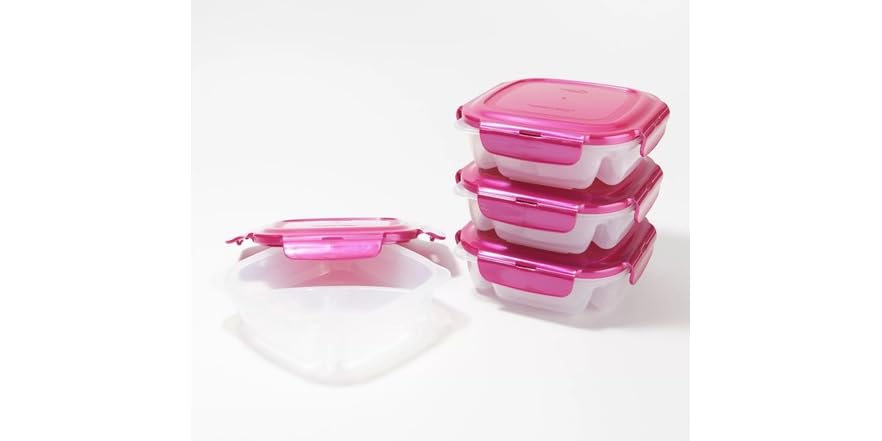 LocknLock Divider Plates with Lids