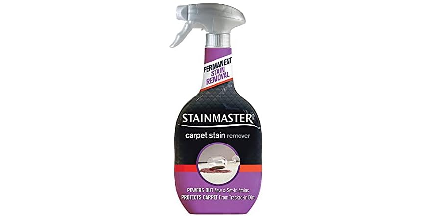 STAINMASTER Carpet Stain Remover 2 Pack
