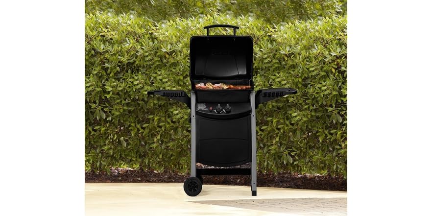 BBQ Pro 2-Burner Grill