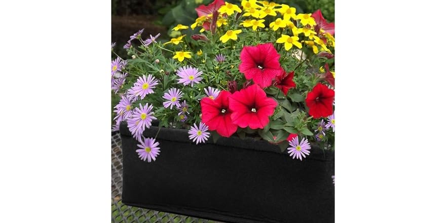 Touch Of ECO FlowerSeed Planter Box Kits