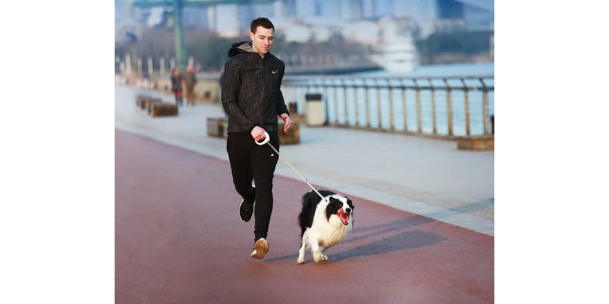 Pet Life Bluetooth Smart Dog Leash