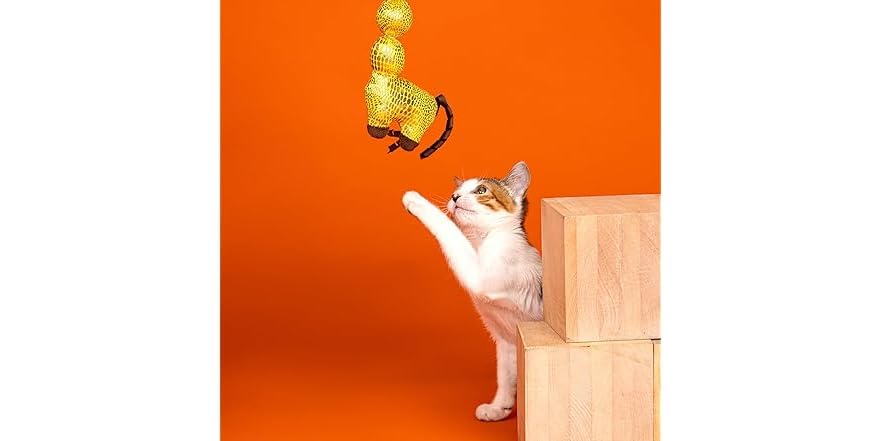 Fringe Studio Cat Toy with Catnip