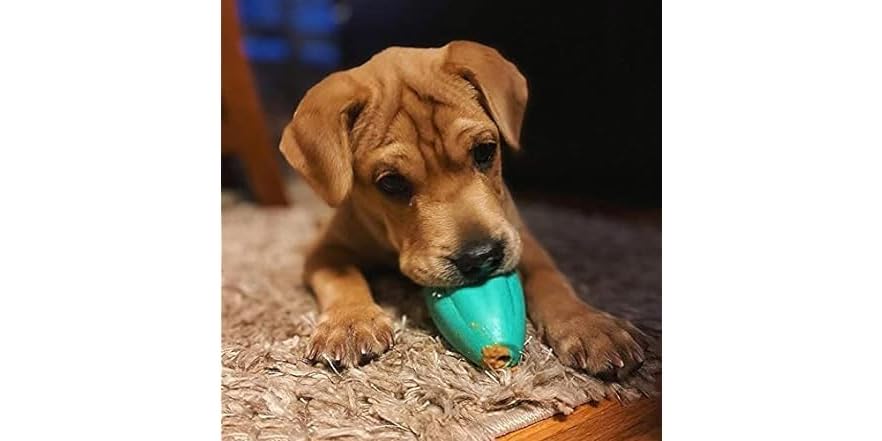 Chew King Rubber Premium Treat Dog Toy, XL