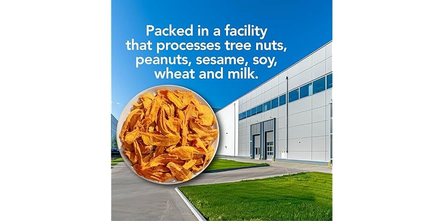 (6pk) Earthside Farms Dried Mango 2.28oz