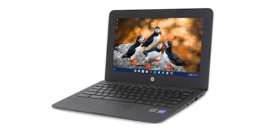 HP 11.6" 11a Chromebook (2020 Model) (Open Box)