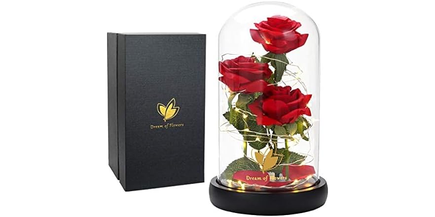 40 LED Lights Rose in Glass Dome