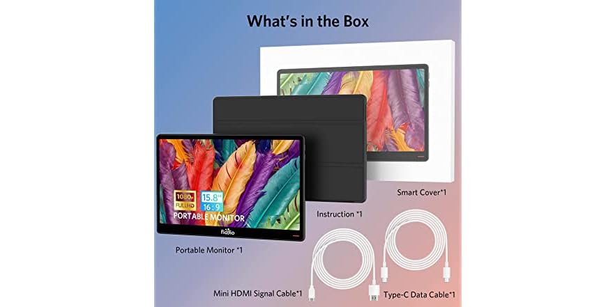 Fiodio FHD 1080P Portable LED Monitor