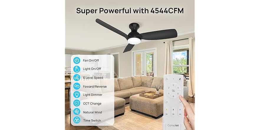 Consciot Ceiling Fan With Light, 44" with Remote, Black