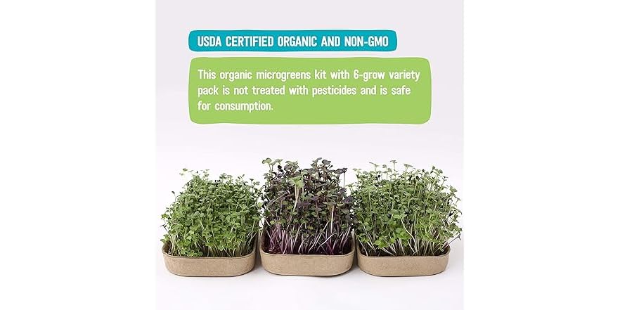 Back to the Roots DIY Microgreen Grow Kit