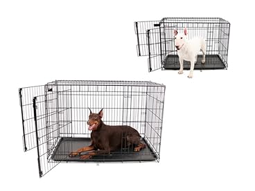 Carlson Heavy-Duty Two Door Wire Crates - 5 Sizes