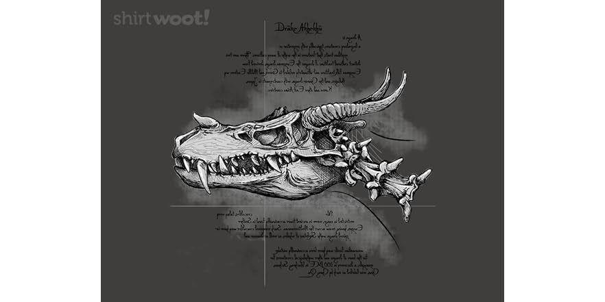 Study of a Drake Akhekhu Remix