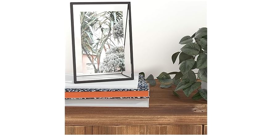 Amazon Basics Wedge Floating Photo Frame