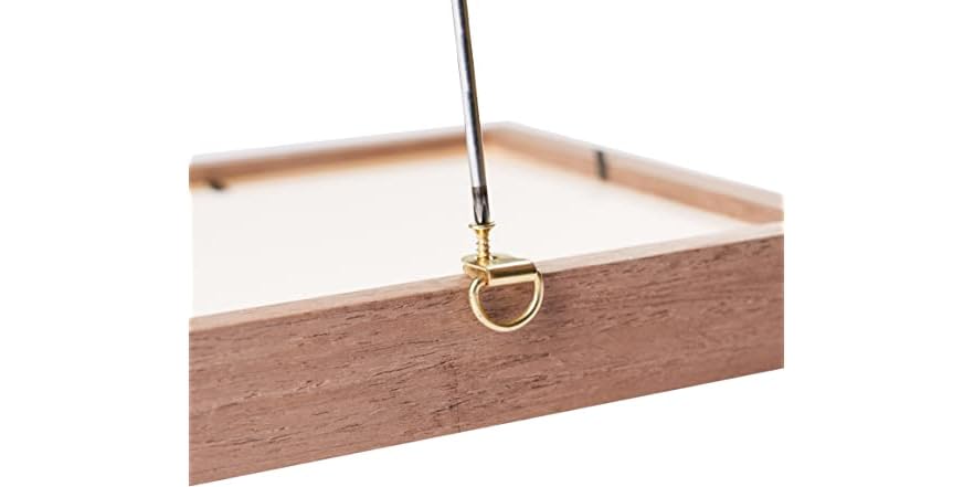 Amazon Basics Picture Hanging Kit