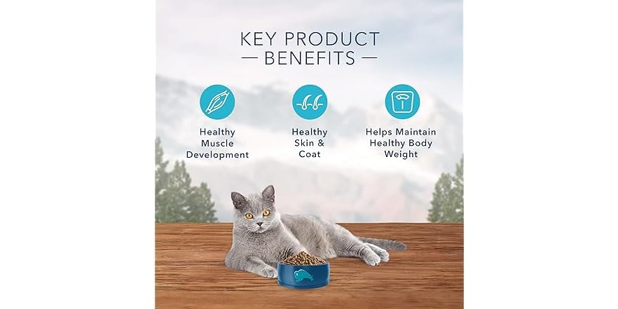 2-Pk Blue Buffalo Chicken Dry Cat Food 5-lb