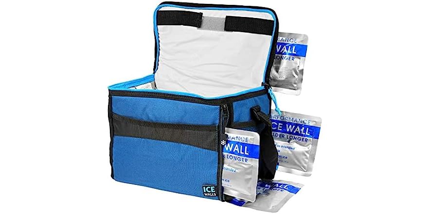 Arctic Zone Insulated Cooler Holds 12 Cans