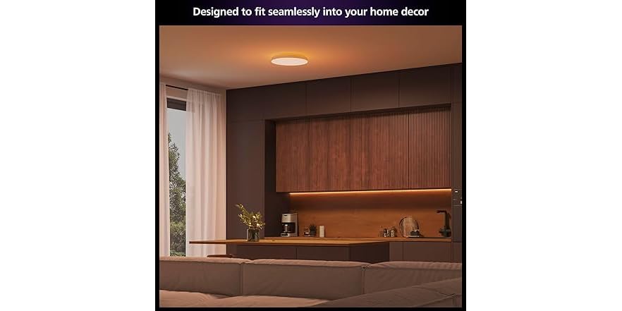 Philips Hue Datura Smart Ceiling Panel 2.49" x 22.60"