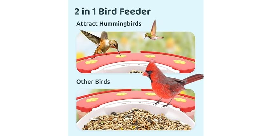 NETVUE Birdfy Smart Bird Feeder