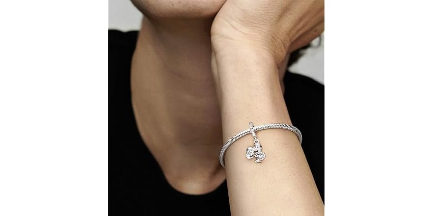 Pandora 798896C01 Pandora Silver Womens Charm