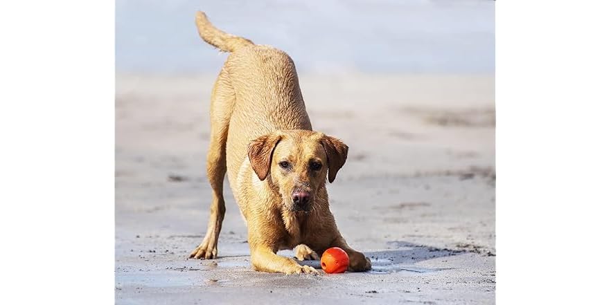 Chuckit! High-Bounce Rubber Fetch Ball, Large 3"