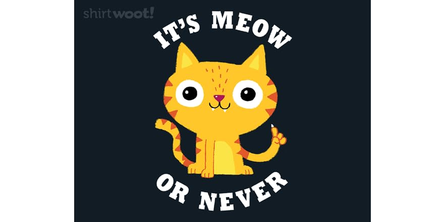 Meow Or Never