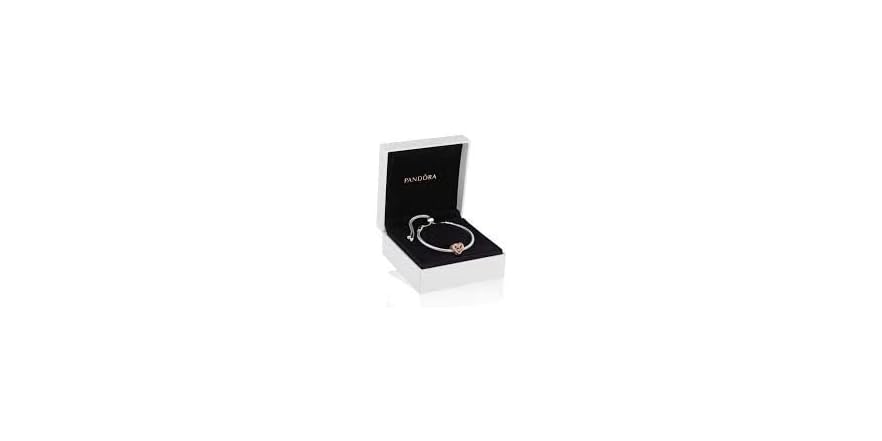 PANDORA Entwined Hearts Gift Set