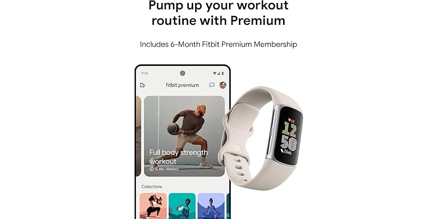 fitbit FITBIT CHARGE 6 SILVER fitbit charge 6 porcelain/silv (Open Box)