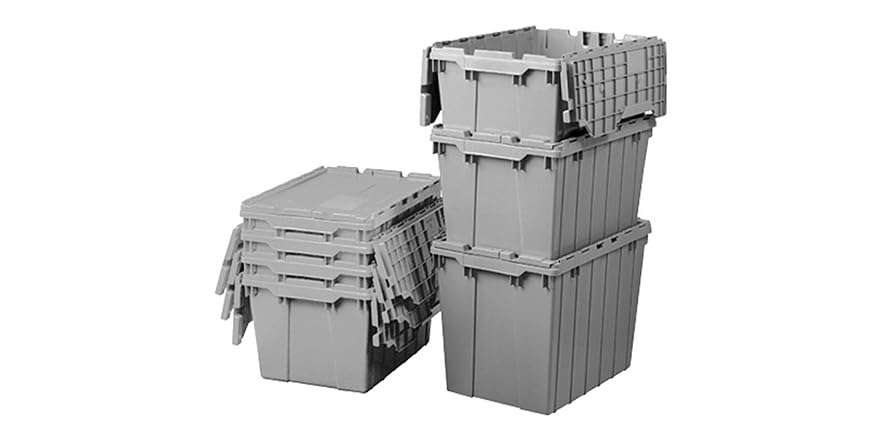 Tote with Hinged Lid, Case of 6 - Your Choice