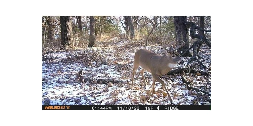 Muddy Mitigator Cellular Trail Camera