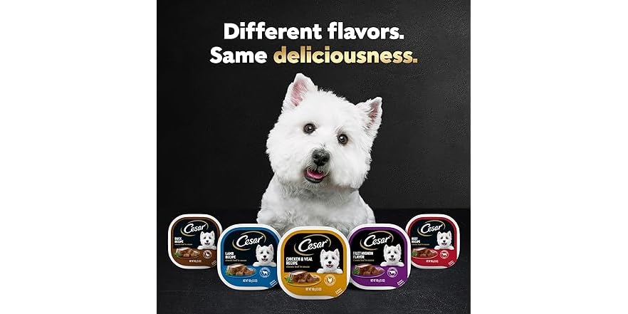 CESAR Adult Dog Food Variety 24ct