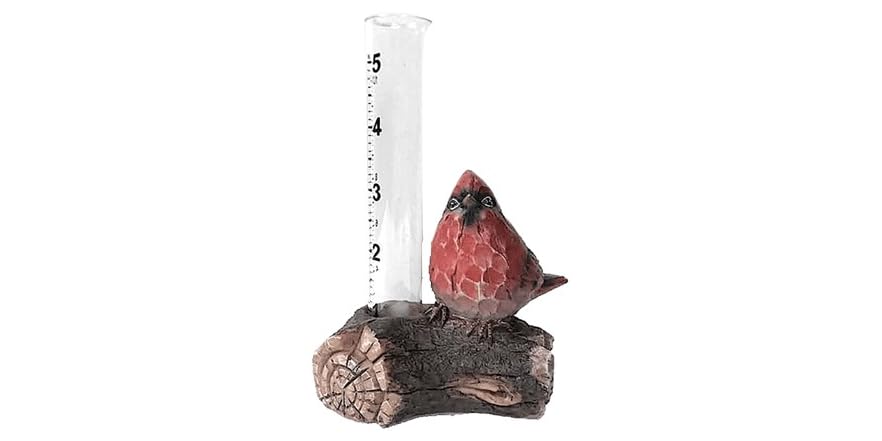 Cardinal Rain Gauge