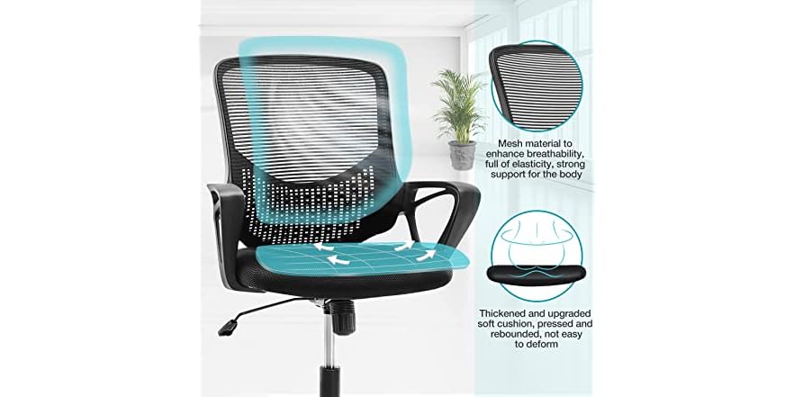 Ergonomic Office Chair w/ Lumbar Support