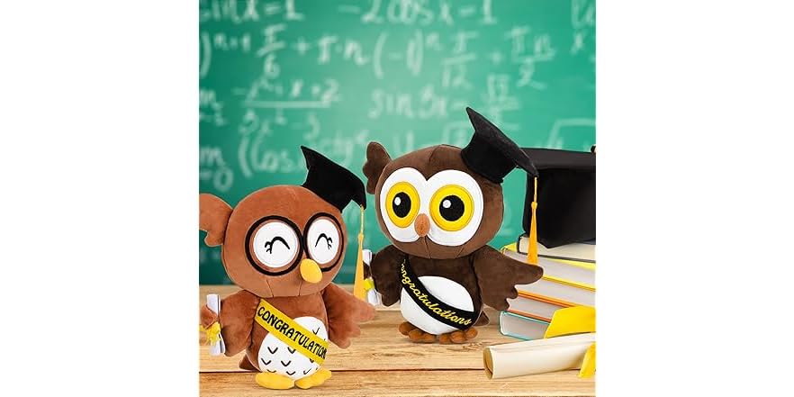 2 Pc Class of 2024 Graduation Plush Owl