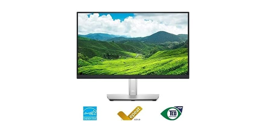 Dell 24" Monitor - P2422H (Open Box)