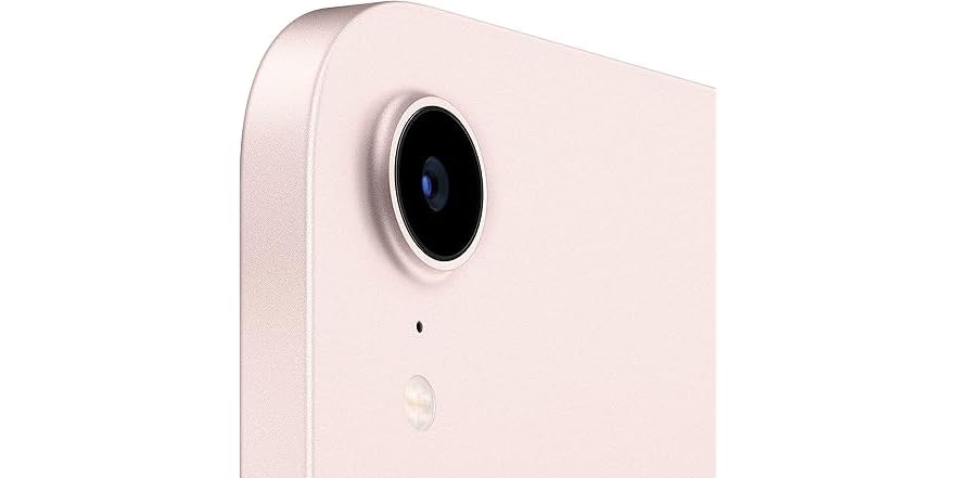 Apple - iPad mini with Wi-Fi - 64GB - Pink (Renewed) (Open Box)