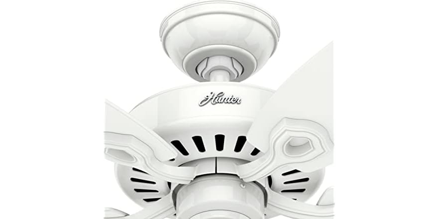 Hunter Fan 52" Traditional Ceiling Fan