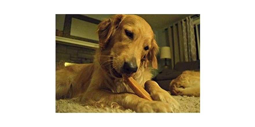 Himalayan Gold Yak Dog Chews