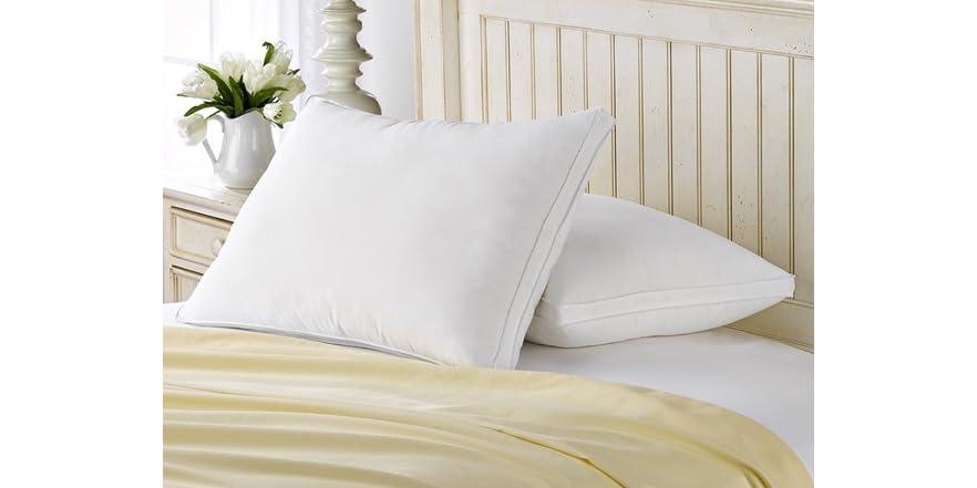 2-Pack Gusseted Memory Fiber Pillows