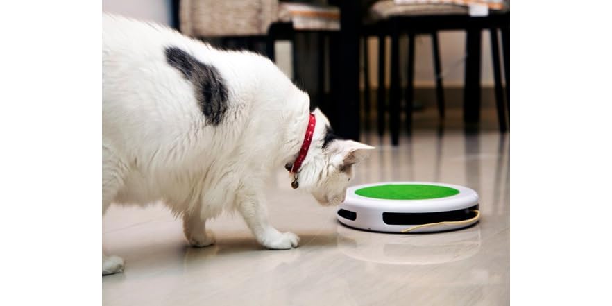 Flicky Tricky Interactive Cat Teaser Toy