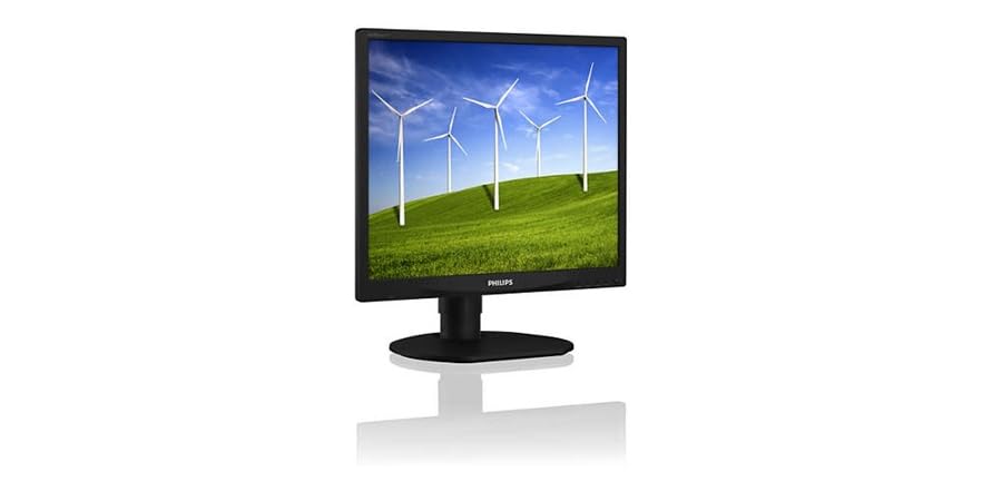 Philips 19" LCD Monitor